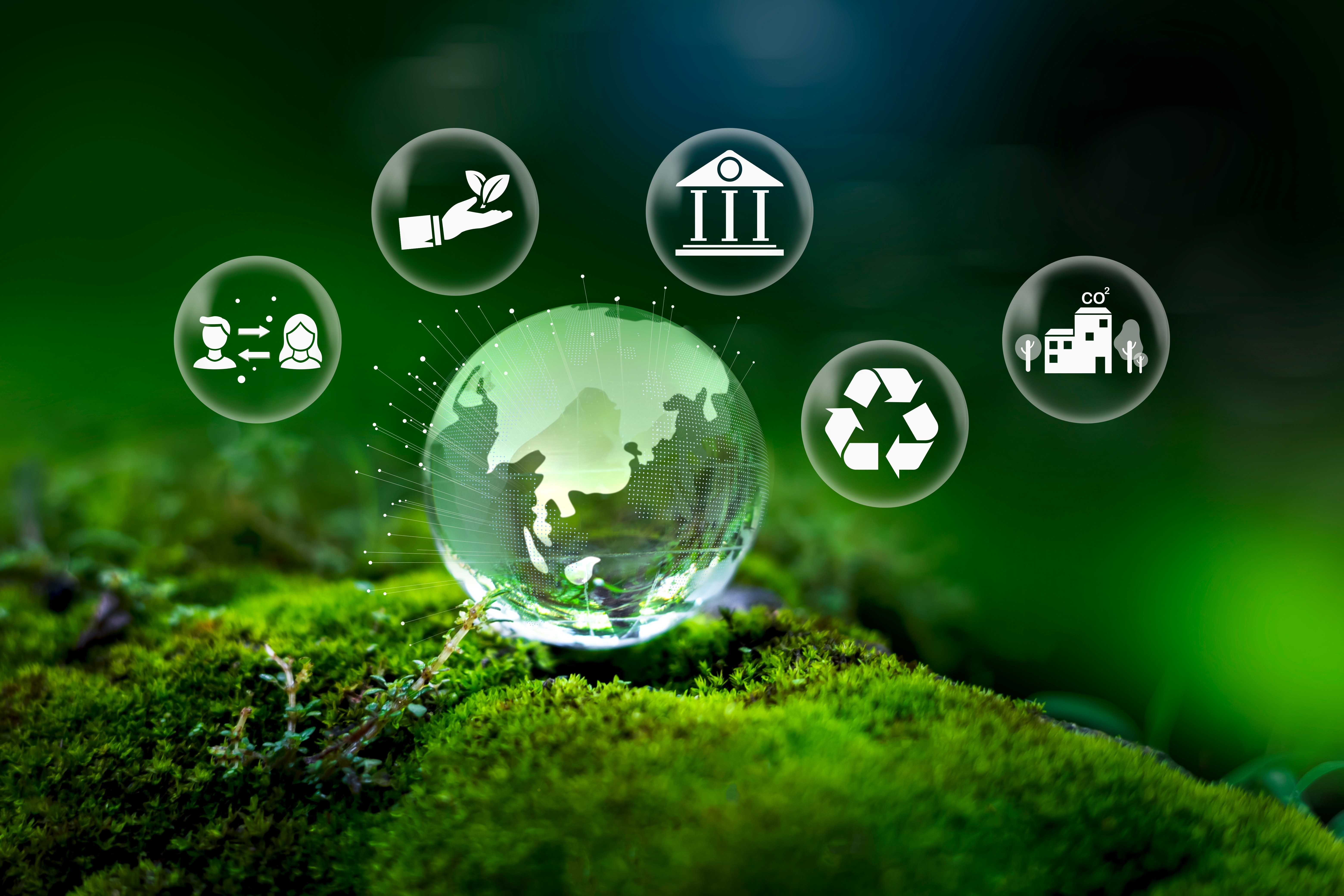 Net Zero Consulting by TUV Rheinland United Arab Emirates | AE | TÜV ...