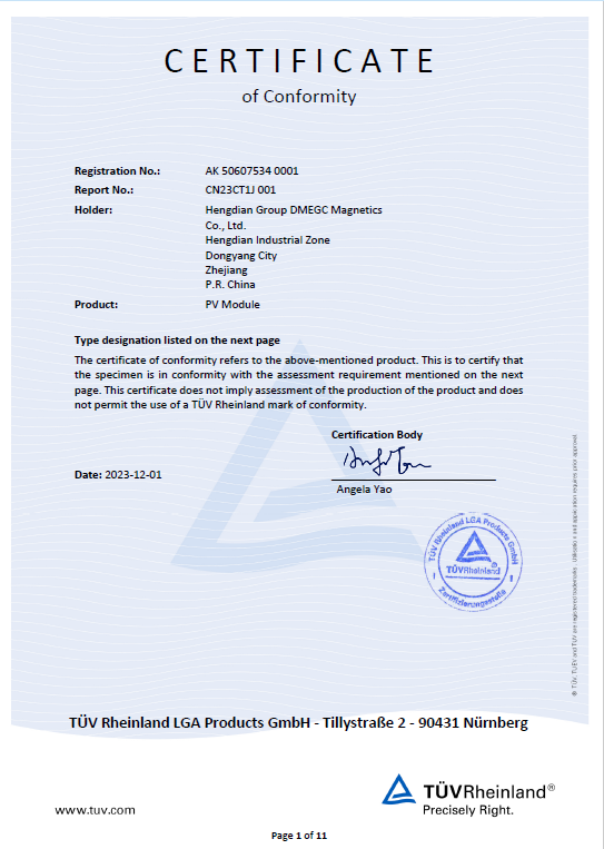 TÜV Rheinland Issues the First IEC 63209 TOPCon Certifcation, Marking a Milestone in PV Industry ...